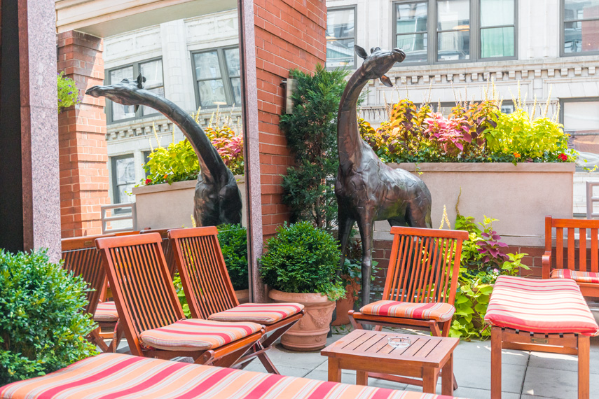 chocolate counters giraffe