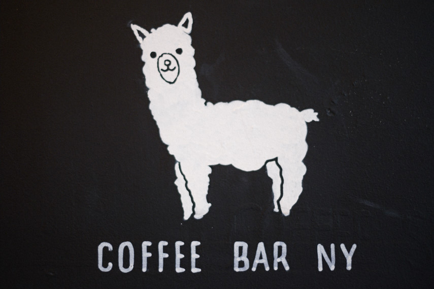 llama bar